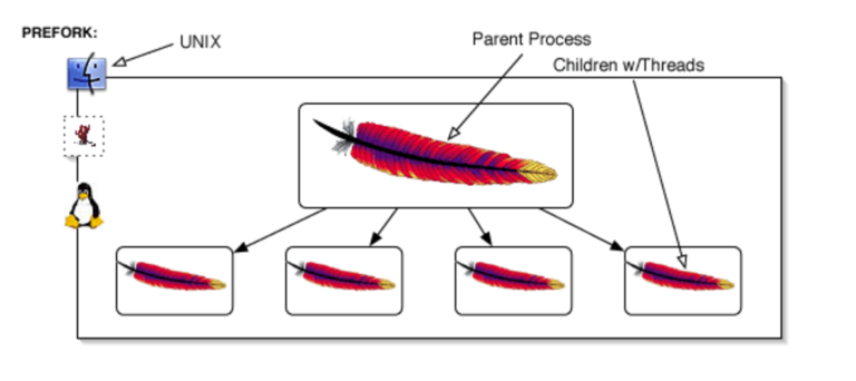 Apache or Nginx: The Web Server Showdown - TechGirlKB
